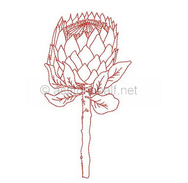 Protea Magnifica Seamless Quilt Combo - aStitch aHalf