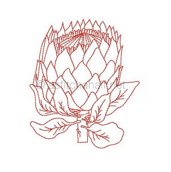 Protea Magnifica Seamless Quilt Combo - aStitch aHalf